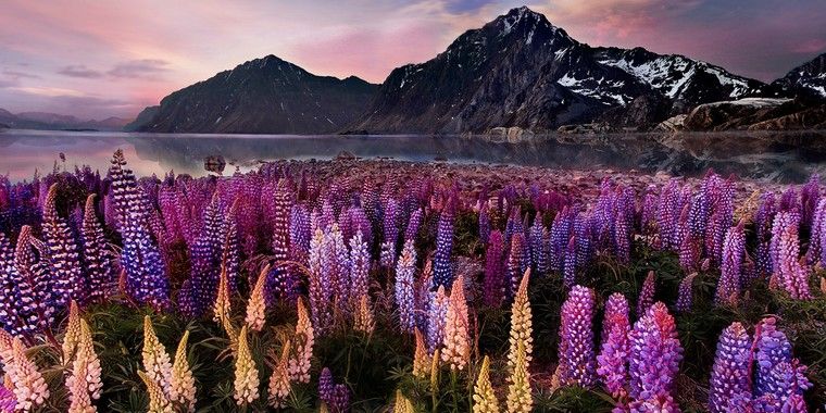 Join the Bright Colors In Nature Photo Contest and win Carbon Fiber ...